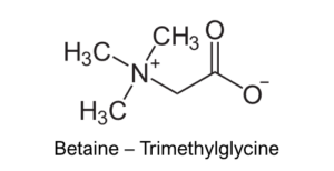 Betaine: Food Sources And Health Benefits | PureMinerals